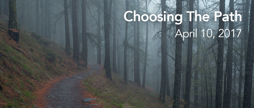 Choosing The Path - Apostles Anglican Church
